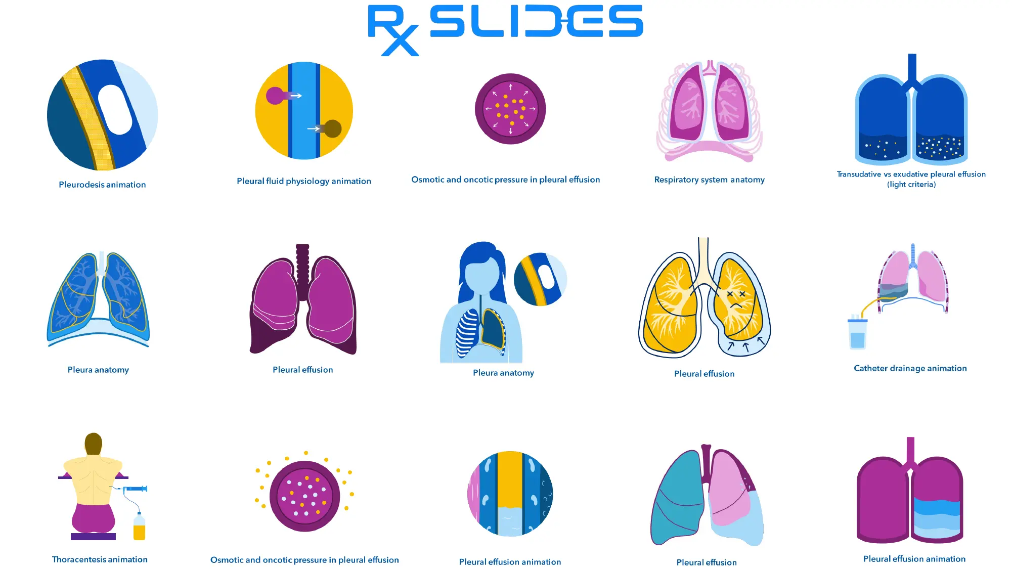 Download Pleural Effusion PowerPoint Template|RxSlides